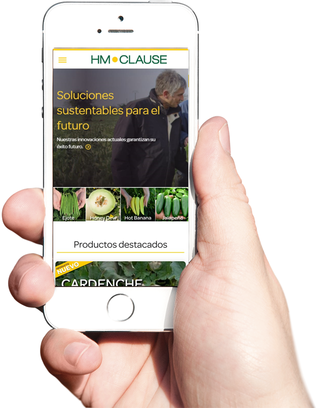 HM CLAUSE | Aplicación Móvil